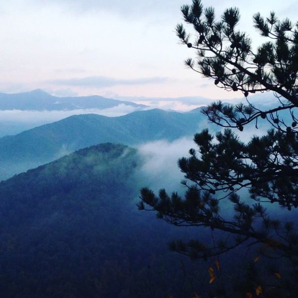 World Day of Prayer for Creation – Creation Care Alliance of Western ...